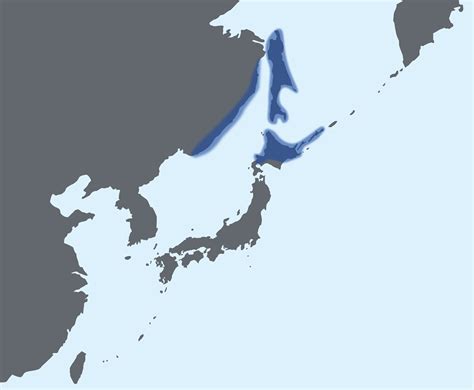 イトウ 鮭と鰻のWeb図鑑 Web Dictionary of Salmon and Eels