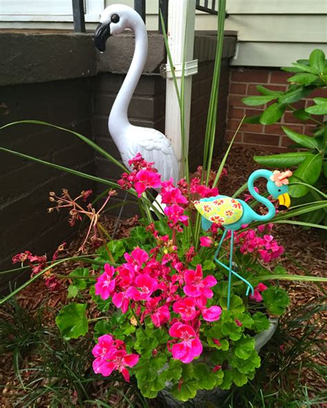 The Beauty Of A Blue Flamingo