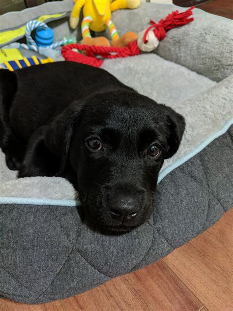 Those Damn Eyes R Aww