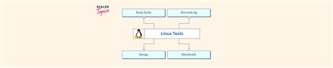 Top Kali Linux Tools For Scaler Topics