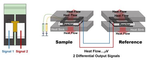 Left Schematic Representation Of The Localization Of The Two μflowcal
