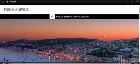 基于ssmvue多媒体素材管理系统开题报告程序论文java Csdn博客
