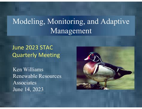 opening remarks on adaptive resource management the power of multiple
