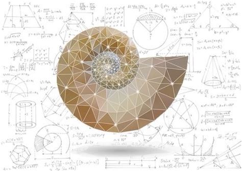 17 Best Images About Golden Ratio Phi Pi Fibonacci On Pinterest Fractals In Nature The