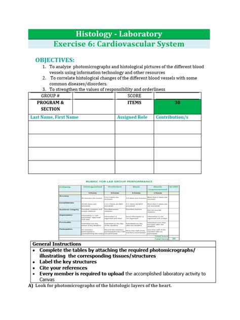 laboratory exercise 6 cardiovascular system pdf heart cardiac muscle