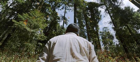 El Guardián De Las Monarcas La Vida De Homero Gómez