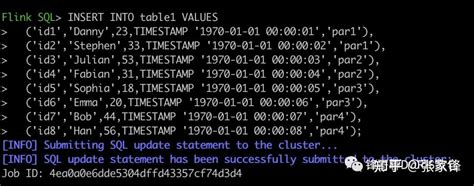 Apache Doris 整合 Flink 、 Hudi 构建湖仓一体的联邦查询入门 知乎