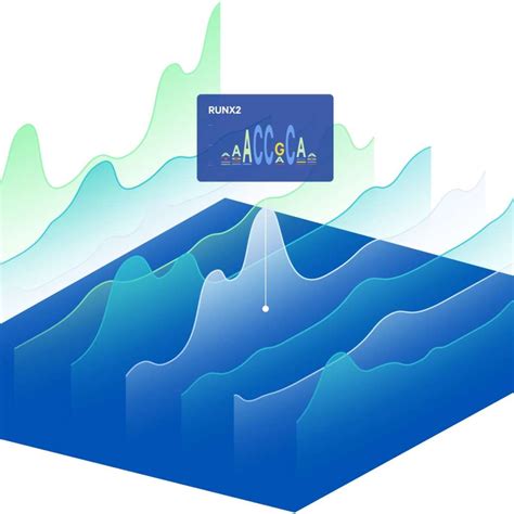 Chromium Single Cell Genesmart Co Ltd