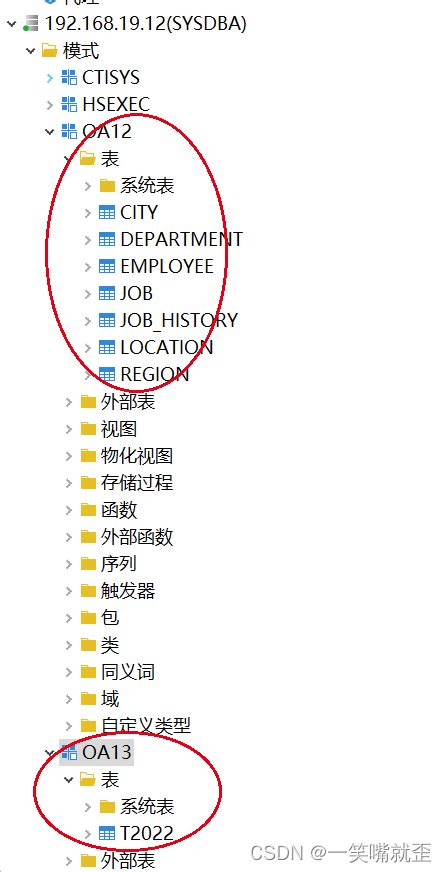 手把手教你达梦数据实时同步软件 dmhs 的安装和使用（附实战详细记录：本地模拟实现达梦数据库双活、灾备） csdn博客