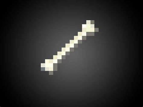 Ways To Get Bones In Minecraft
