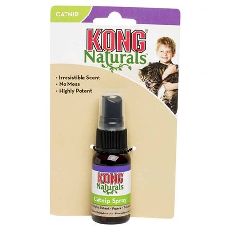Kong Naturals Catnip Spray Cattylicious Cat Toys