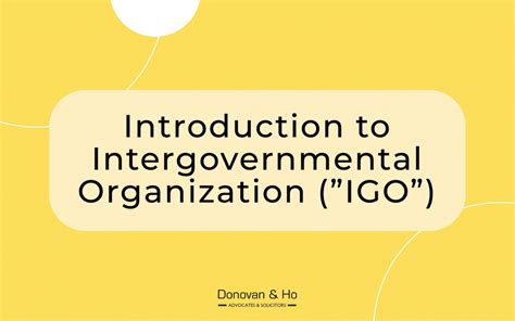 Introduction To Intergovernmental Organizations Donovan And Ho