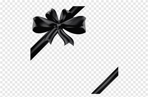 Black Bow Border