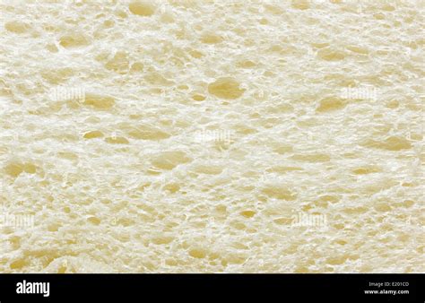 Seamless Bread Texture