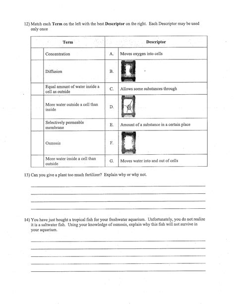 Diffusion And Osmosis Worksheet Heather Sanborn Library Formative Worksheets Library