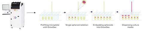 combining growdex® and spheroone® for automated and highly reproducible
