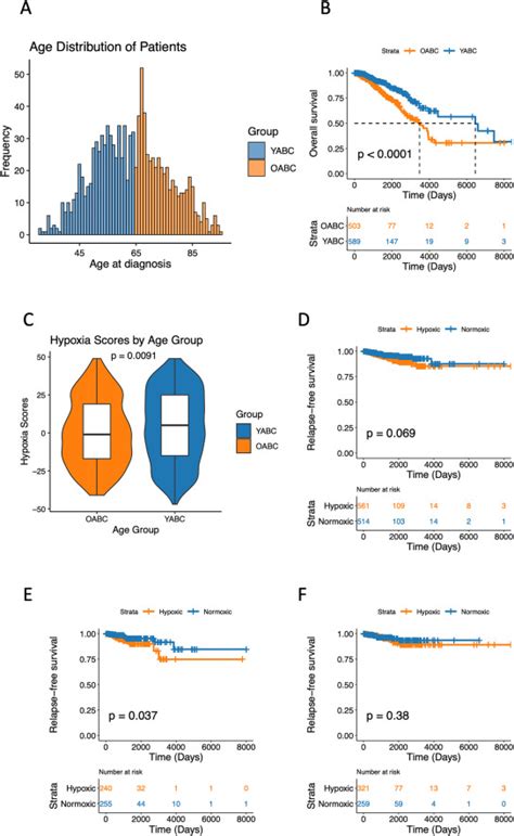 A Multi Omics Based Prognostic Model For Elderly Breast Cancer By