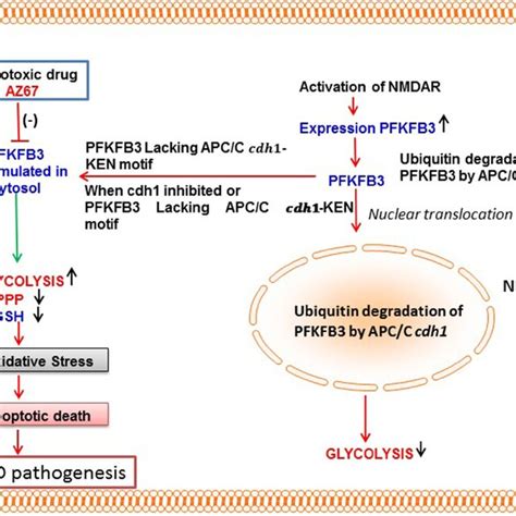 Oxidative Stress Triggers Aggregation Of Gapdh And Interactions With Aβ