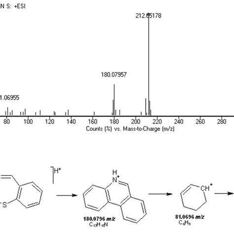 Q Tof Msms Spectrum And Fragmentation Pathway Of Photodegradation