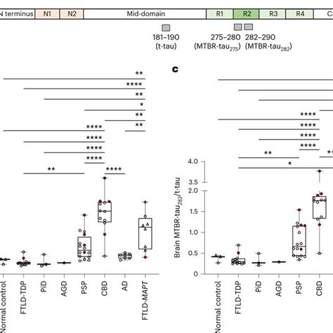 4r Specific Csf Mtbr Tau Decreases In Cbd Ftld Mapt And Ad A