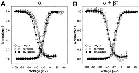 Voltage Dependence Of Activation And Steady State Inactivation For Download Scientific Diagram