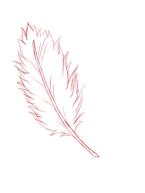 How To Draw A Feather 8 Steps With Pictures WikiHow