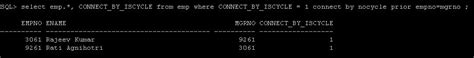 Ora 01436 Connect By Loop In User Data Oracle Database