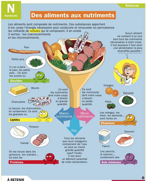 Alimentation Chez Les Enfants Nutrition Ndttfv