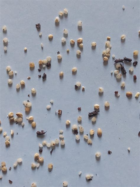 7 New Barn Object Detection Dataset By Aiml Ecochoice