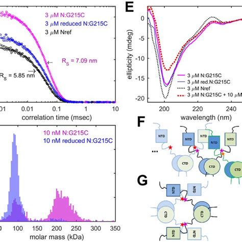 Solution Structure And Higher Order Assembly Properties Of Ng215c Download Scientific Diagram