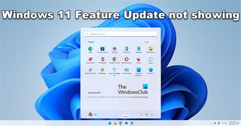 Windows 11 24h2 Update Not Showing