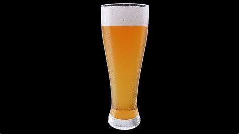 맥주 유리 3d 모델 49 Fbx Max Free3d