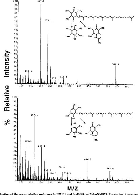 Ubiquinone Biosynthesis Pathway Semantic Scholar