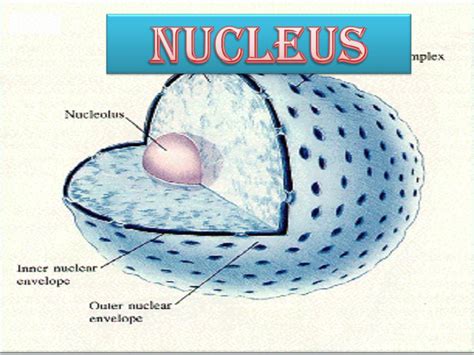 Ppt Cell Analogy Project Powerpoint Presentation Free Download Id