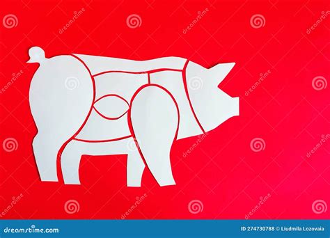 Scheme Of Cutting Pork Carcass From Cardboard Stock Illustration