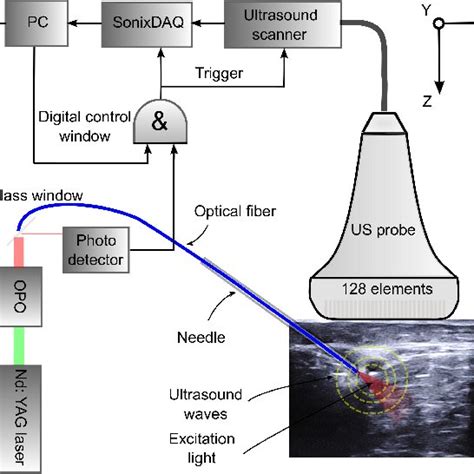 Schematic Illustration Of The Spectral Unmixing Method Used To Estimate Download Scientific