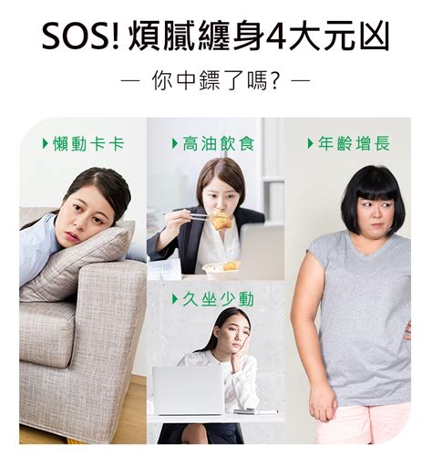 Now健而婷 綠茶c植物膠囊食品100顆瓶 蝦皮購物