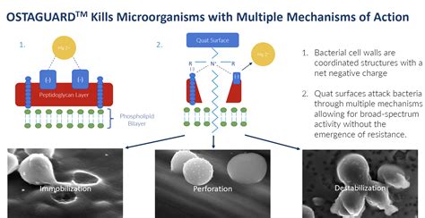 Antibacterial Coating Developer Orthobond Reports First Human Case