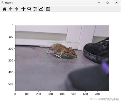 Yolov8实战第三天——yolov8tensorrt部署（python推理）（保姆教学）yolov8 Tensorrt Python Csdn博客