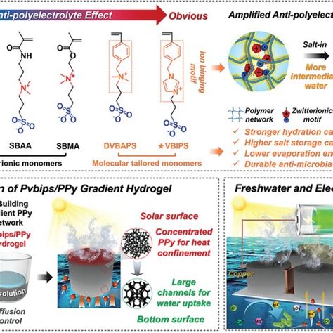 Heat Management Of Pvbipsppy Hydrogel With Gradient Ppy Network A Download Scientific