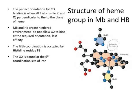 Ppt Example Of Tertiary And Quaternary Structure Of Protein Myoglobin And Hemoglobin