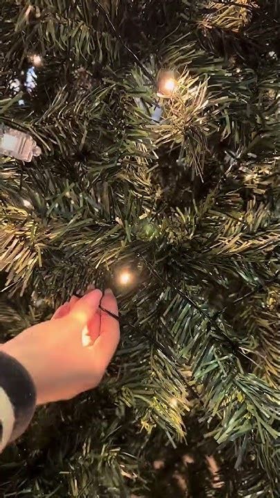 სადა ნაძვის ხე Youtube