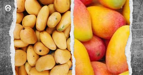 ¿cuál Es La Diferencia Entre El Mango Manila Y El Petacón Esta Es La Clave