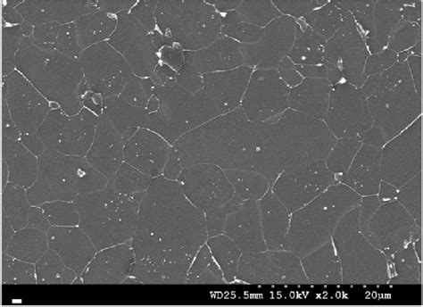Microstructure Of Sintered Sic Non Corroded Sample With 0 2 Wt Y 2 O Download Scientific