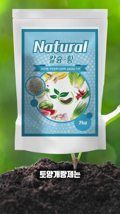 석회비료 사용법 유황칼슘비료 종류 칼슘황shorts Youtube