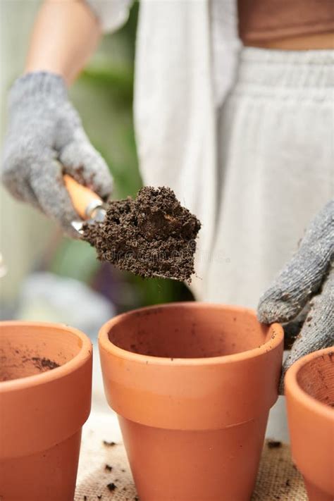 How To Fill Up A Plant Pot At Tayla Mein Blog