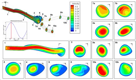 Layout For Maximum Velocity Download Scientific Diagram