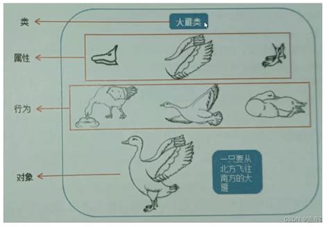 面向对象编程基础 Csdn博客