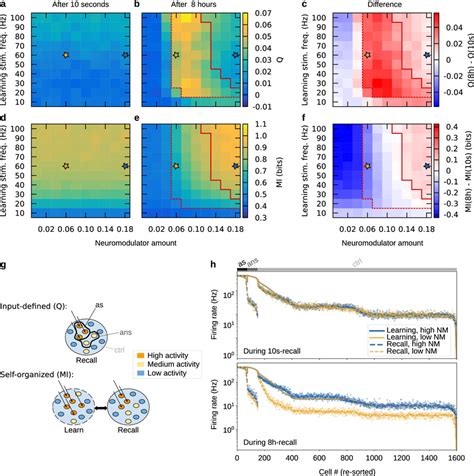 neuromodulator dependent consolidation has differential effects on download scientific diagram