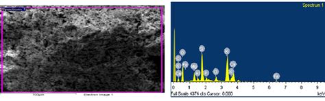 Sem Edx Spectrum And Composition Download Scientific Diagram